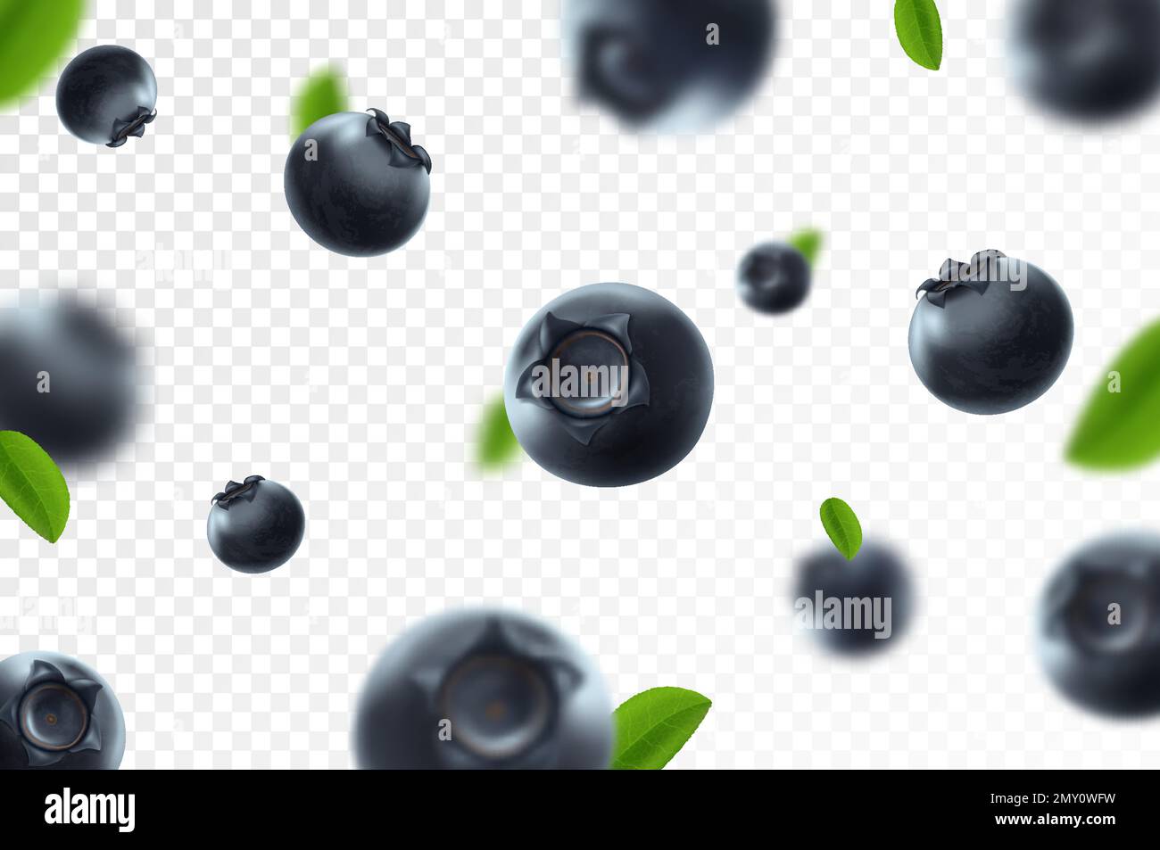 Blueberry background. Fresh berry with green leaves on transparent ...