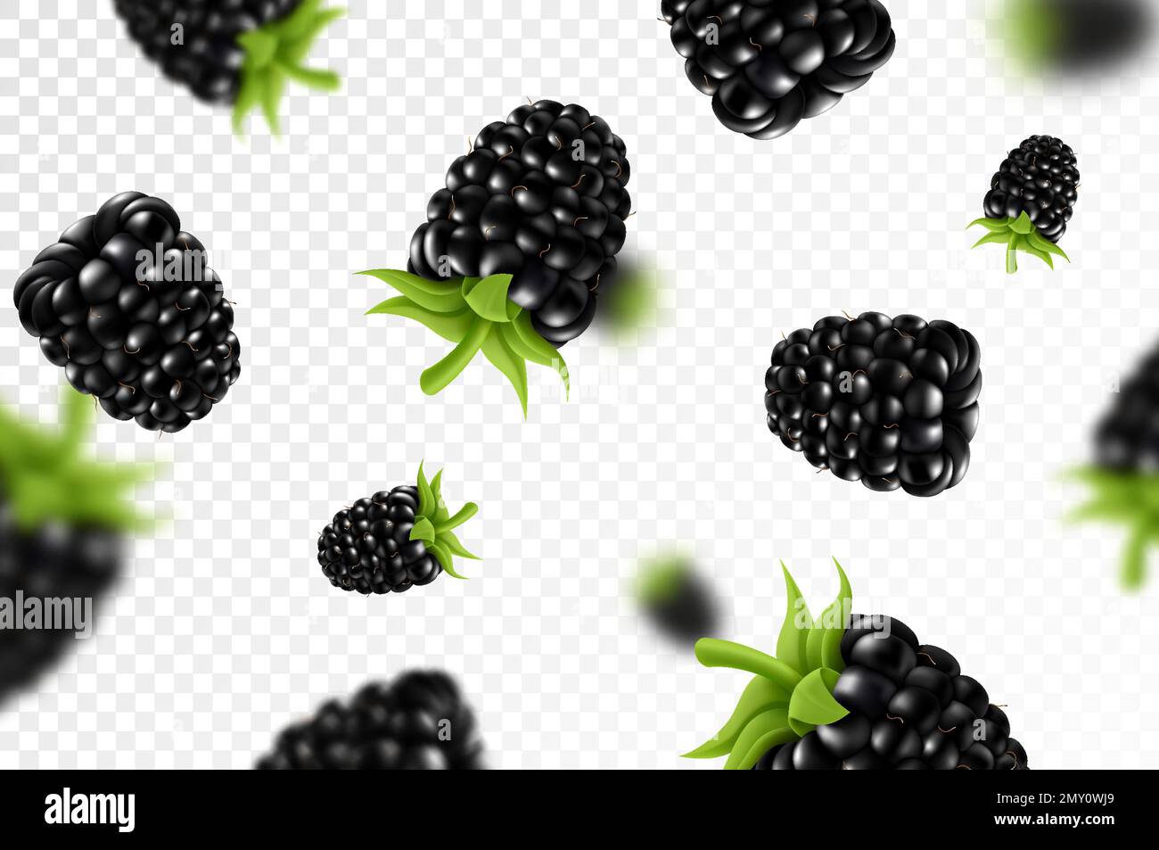 Blackberry background. Flying blackberry with green leaf on transparent ...