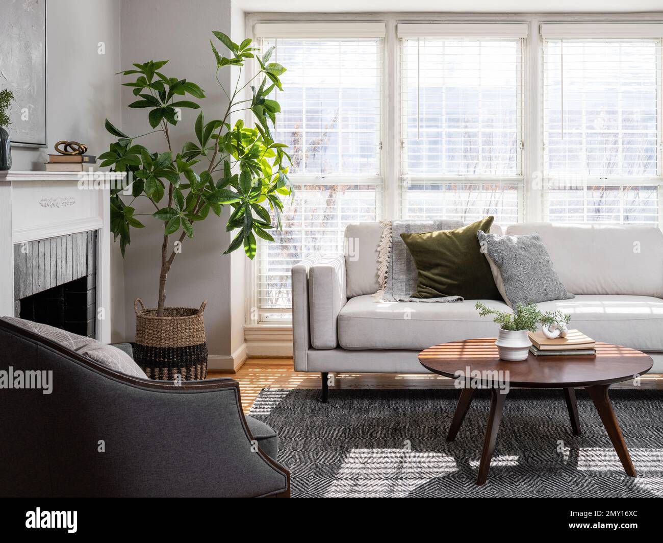 Residential interior - Living Room Stock Photo - Alamy