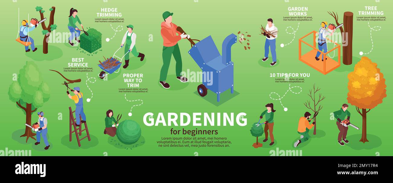 Garden workers infographic set with hedge trimming symbols isometric ...