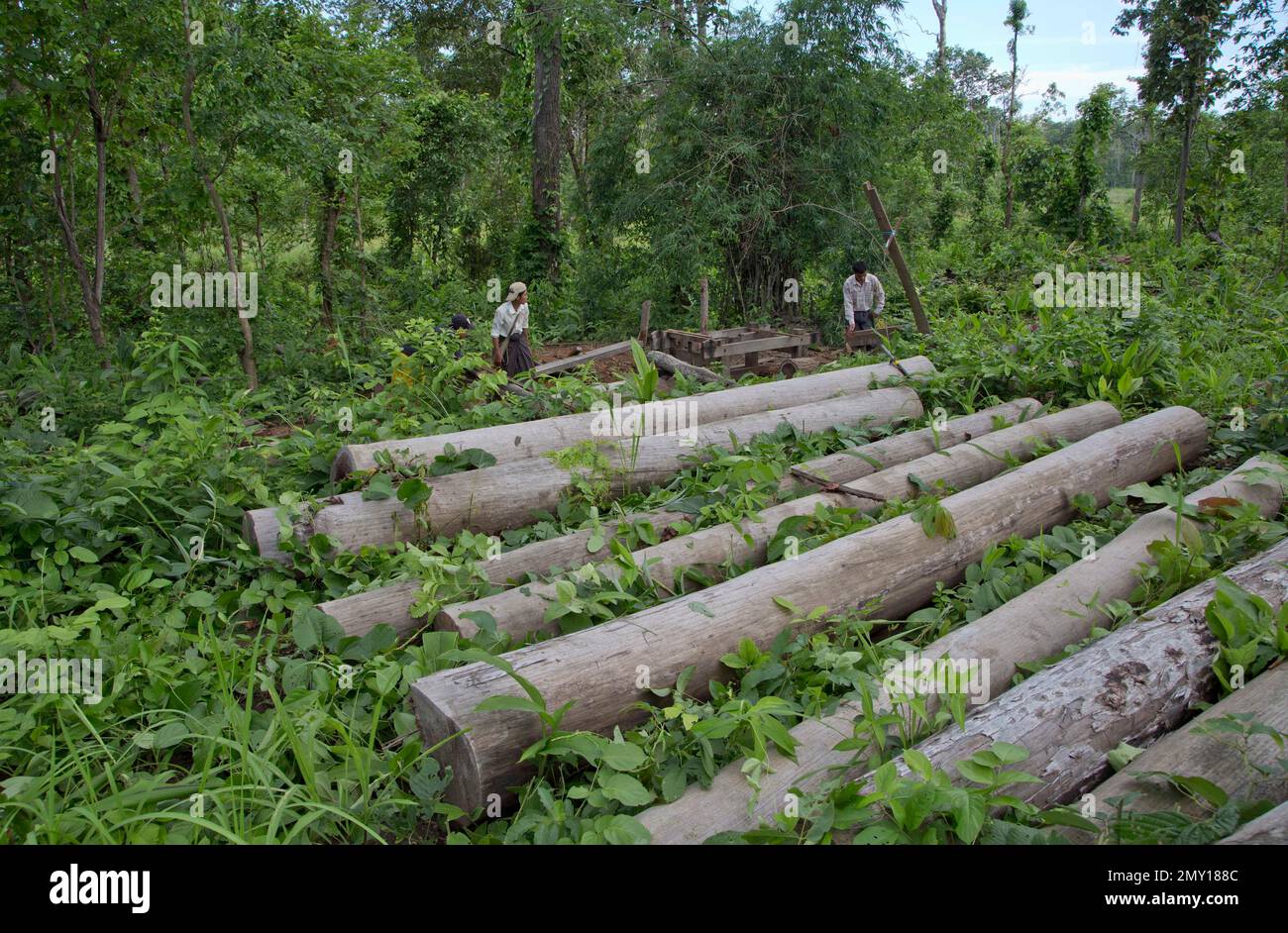 In this Saturday, June 25, 2016, photo, environmental activists who ...