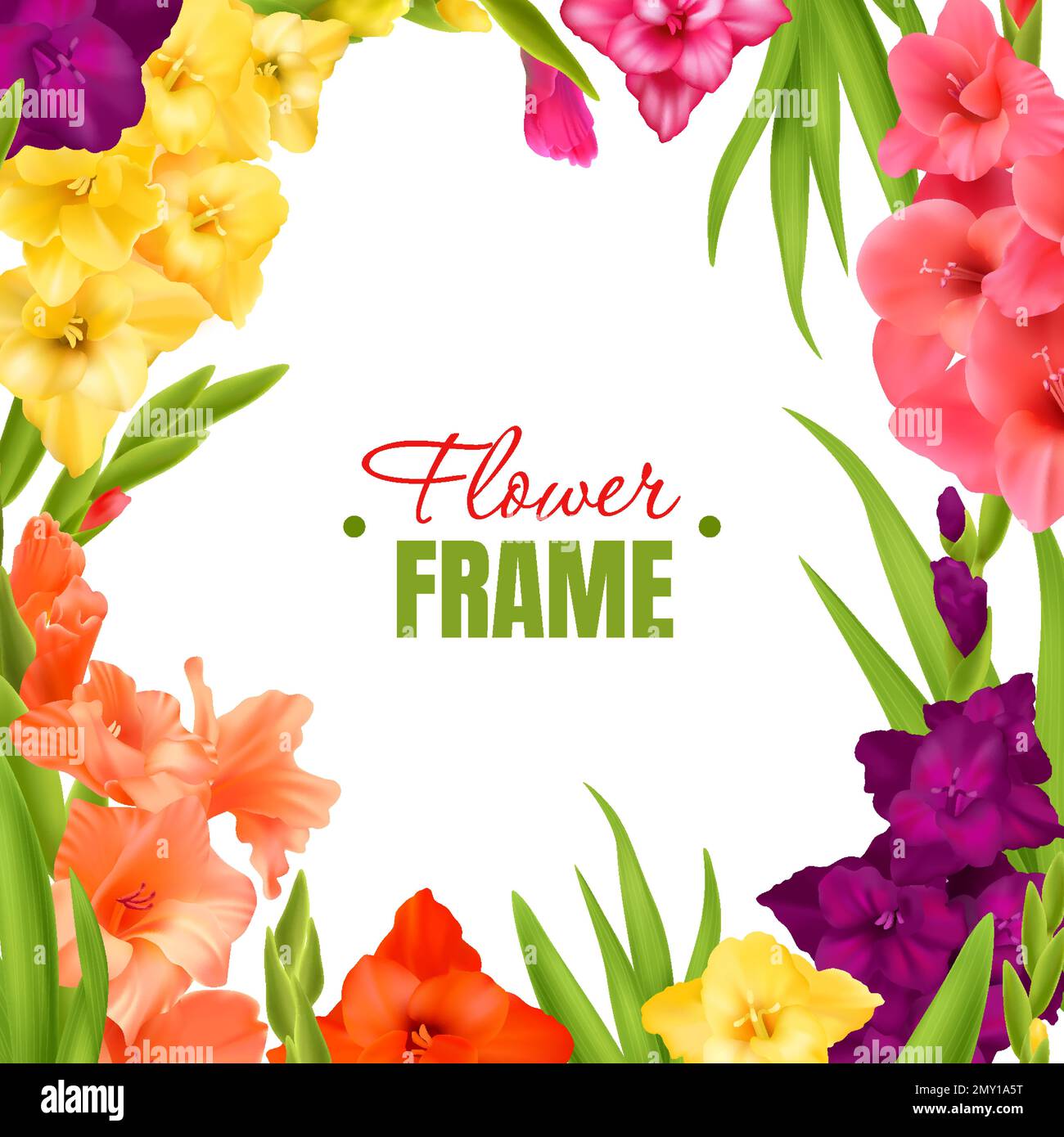 Realistic gladiolus frame with blooming flowers of different colors and ...
