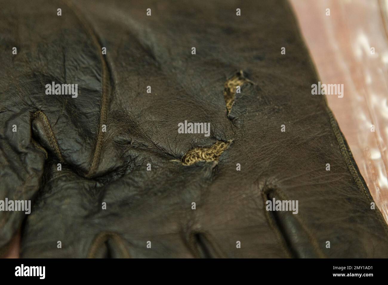 A close up view of a glove as evidence in the O.J. Simpson murder case ...