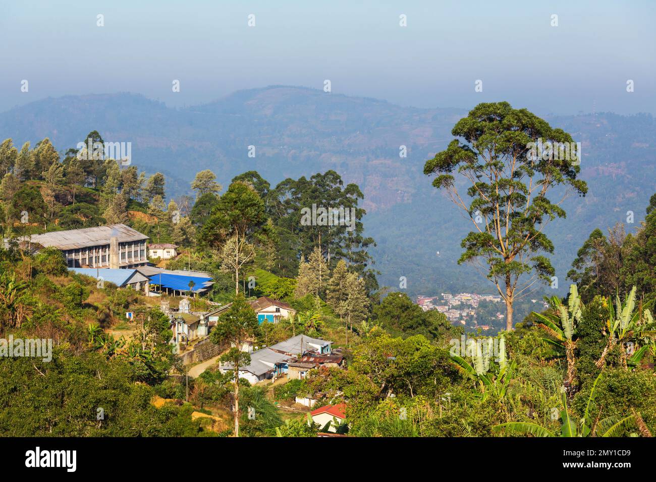 traditional village on Sri Lanka Stock Photo - Alamy