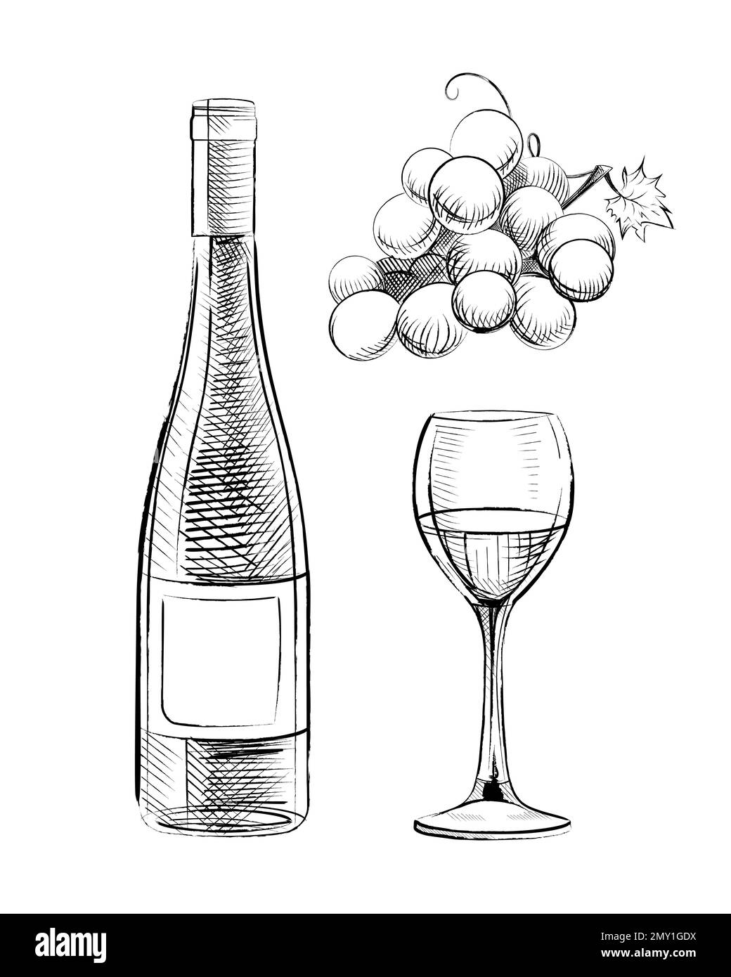 Hand drawn set of wine bottle glass and grape vine isolated on white ...