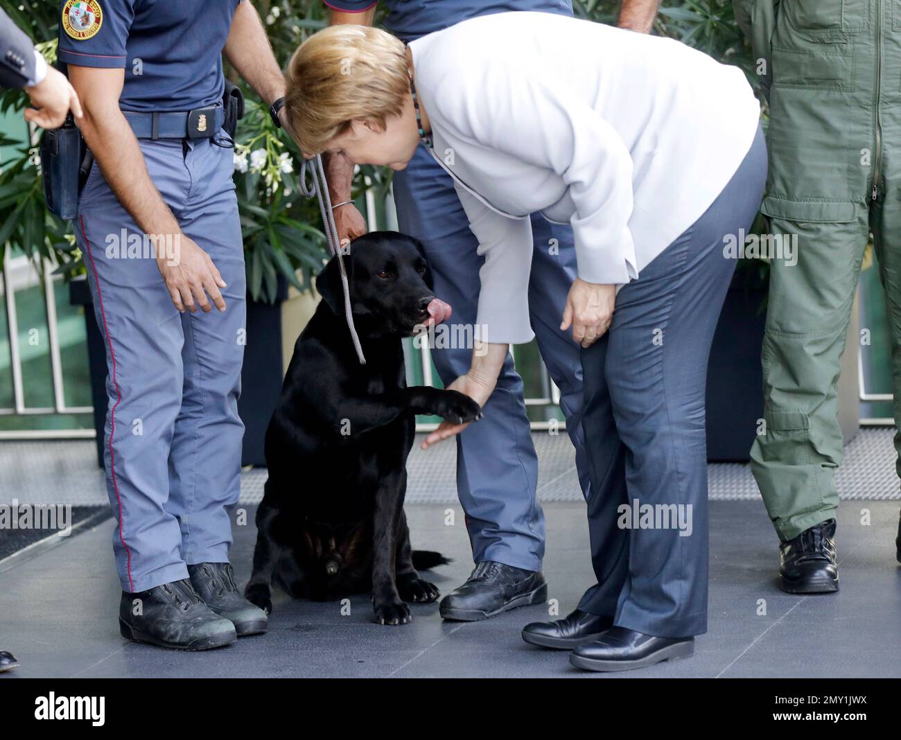 German Chancellor Angela Merkel shakes the paw of Leo, the black ...