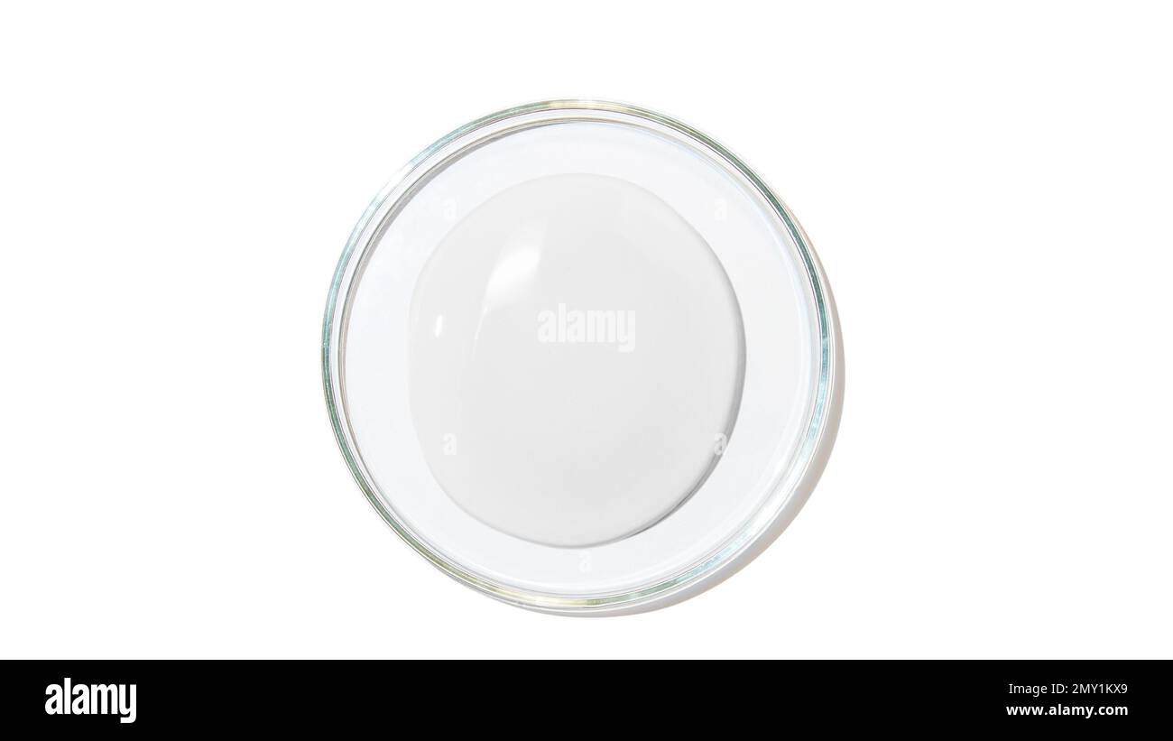 Petri dish. large drops of transparent gel or serum or water, on a ...