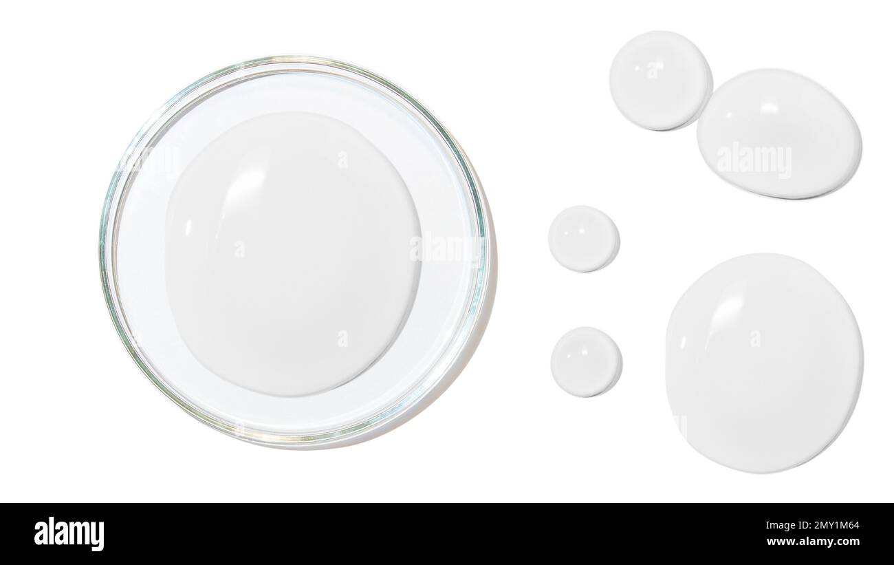 Petri dish. large drops of transparent gel or serum or water, on a ...