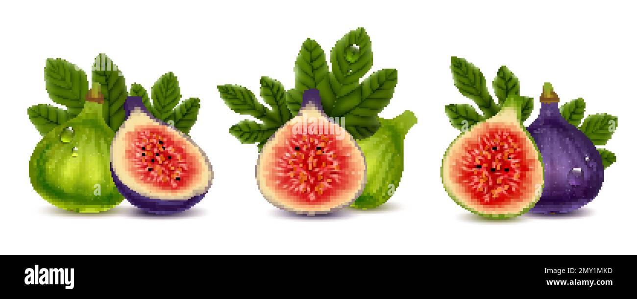 Figs realistic compositions of whole and half fruits with green and ...