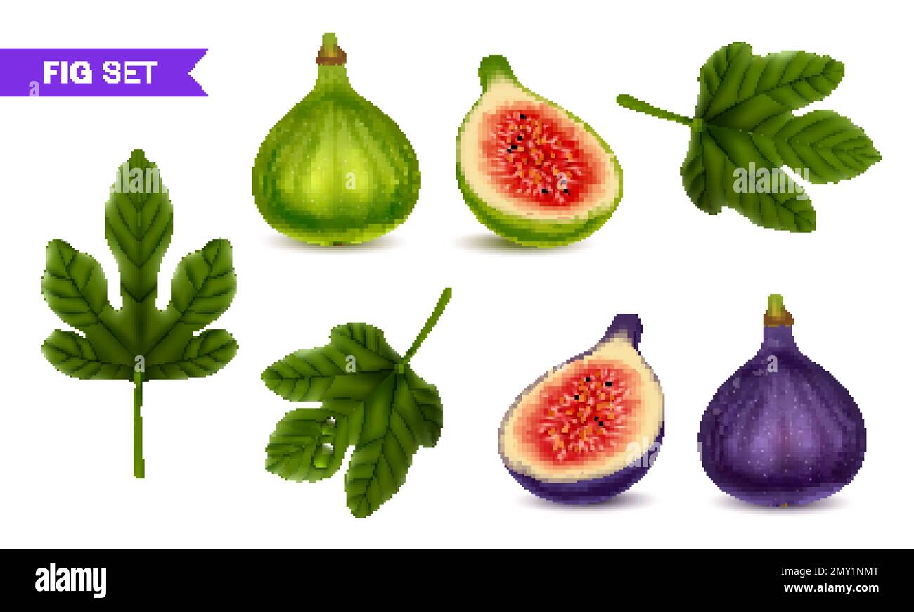 Figs realistic set of whole and cut green and purple ripe fruits and ...