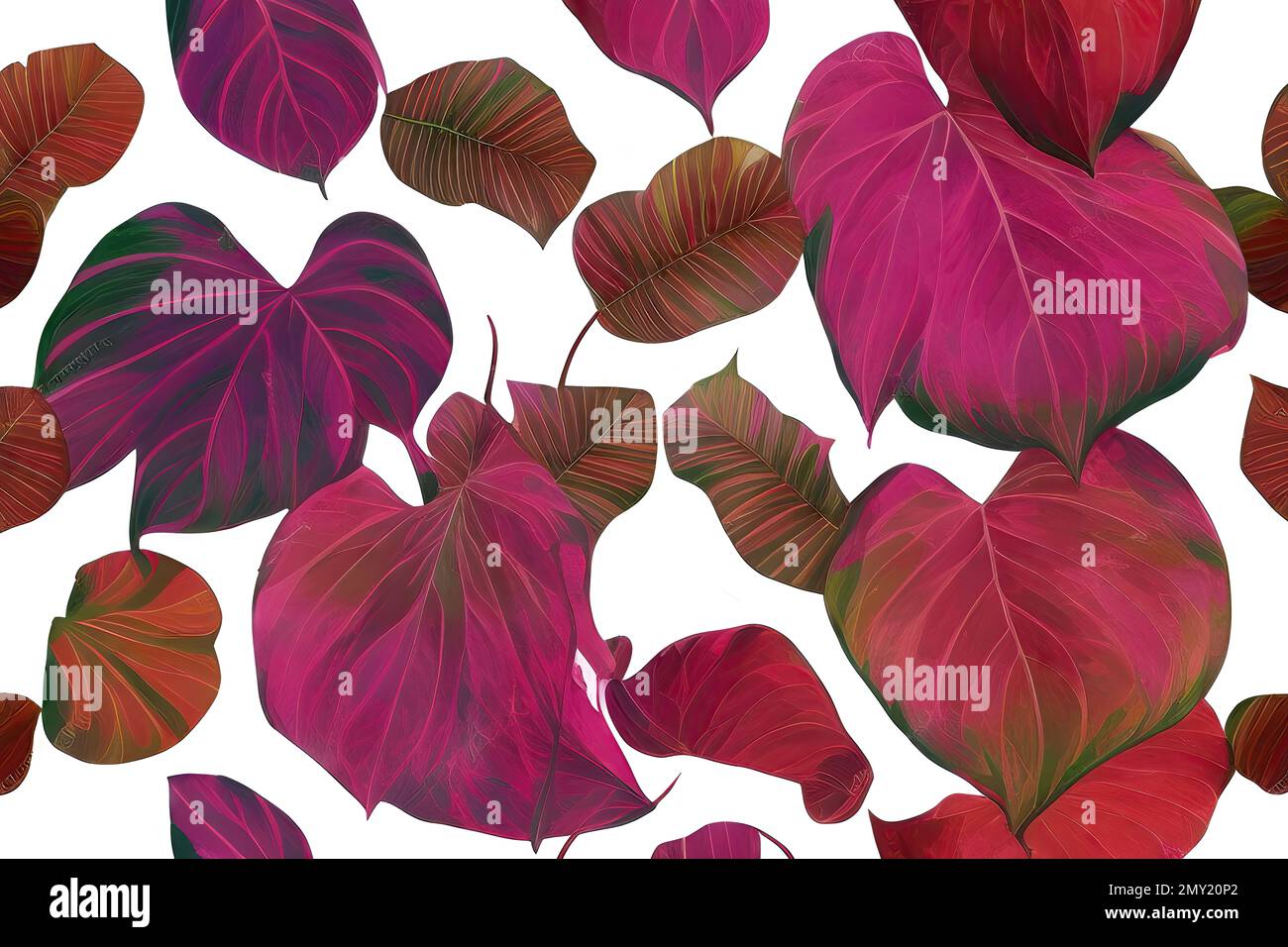 pattern of Caladium multicolored leaves Stock Photo - Alamy