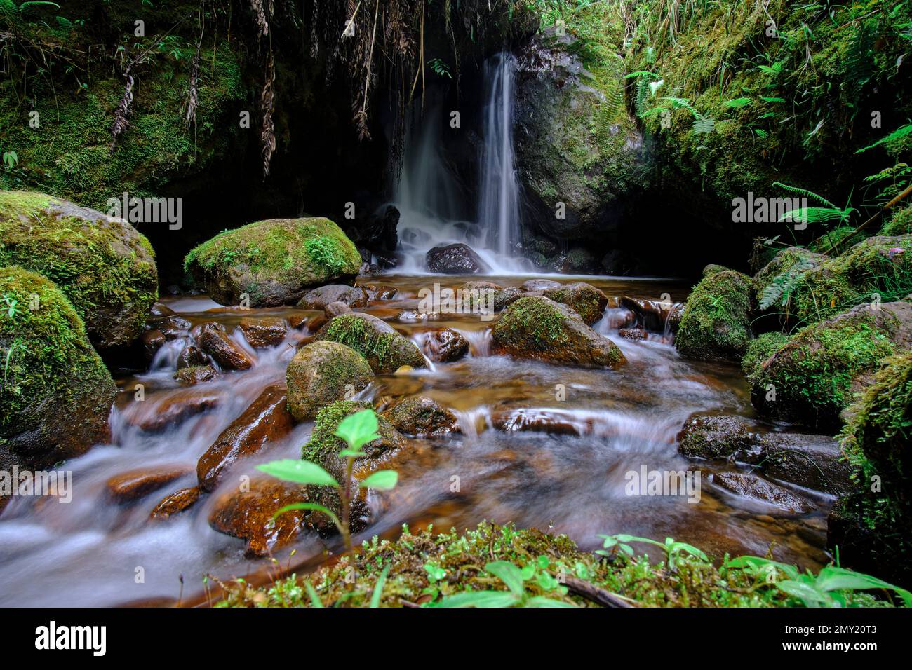 Beautiful scenery of a water course inside the forests of the cloud ...