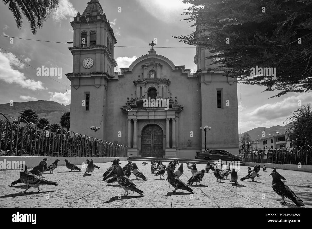 View of pigeons with the main cathedral of Tarma as a background ...