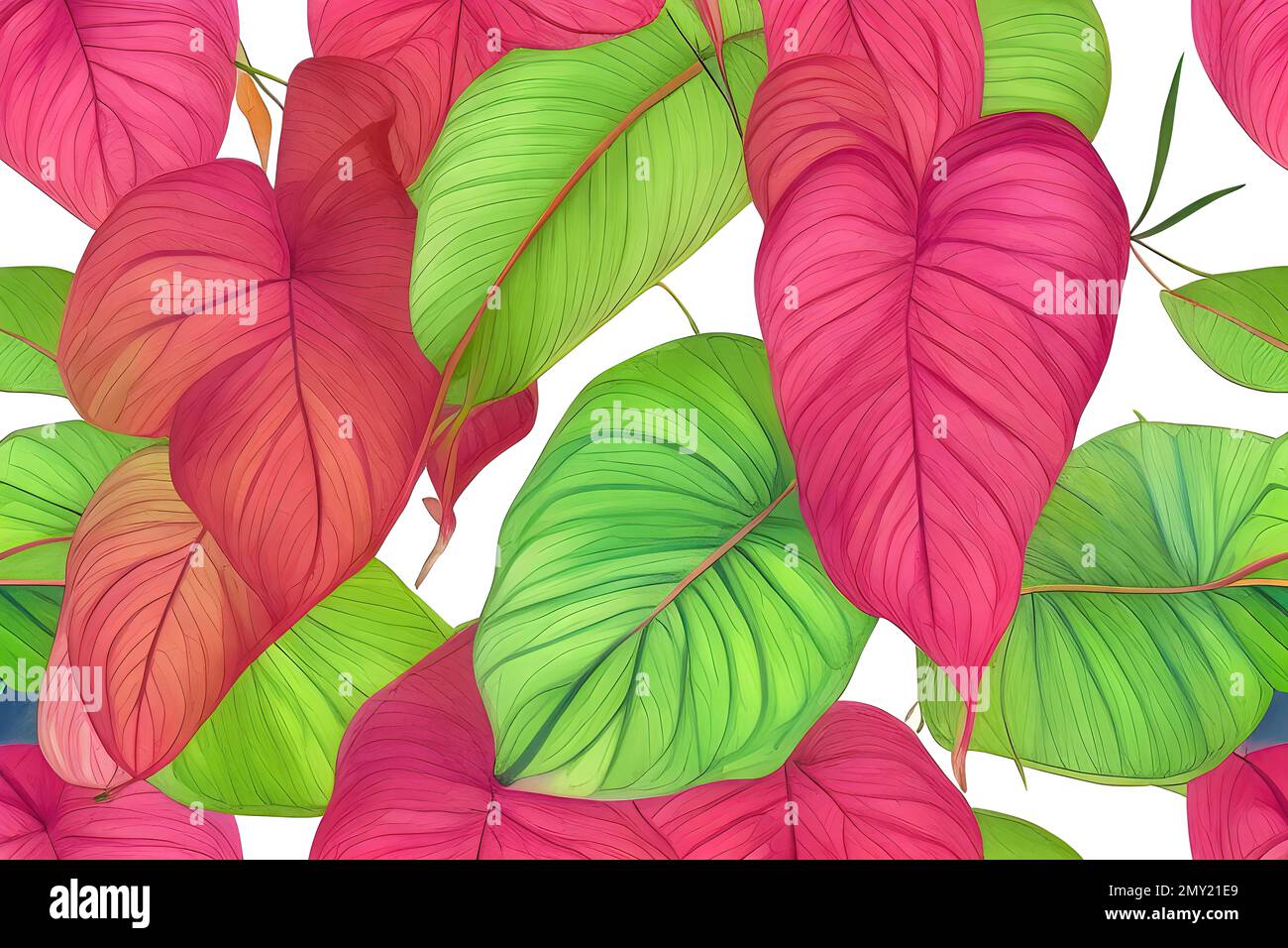 Watercolor caladium hi-res stock photography and images - Alamy