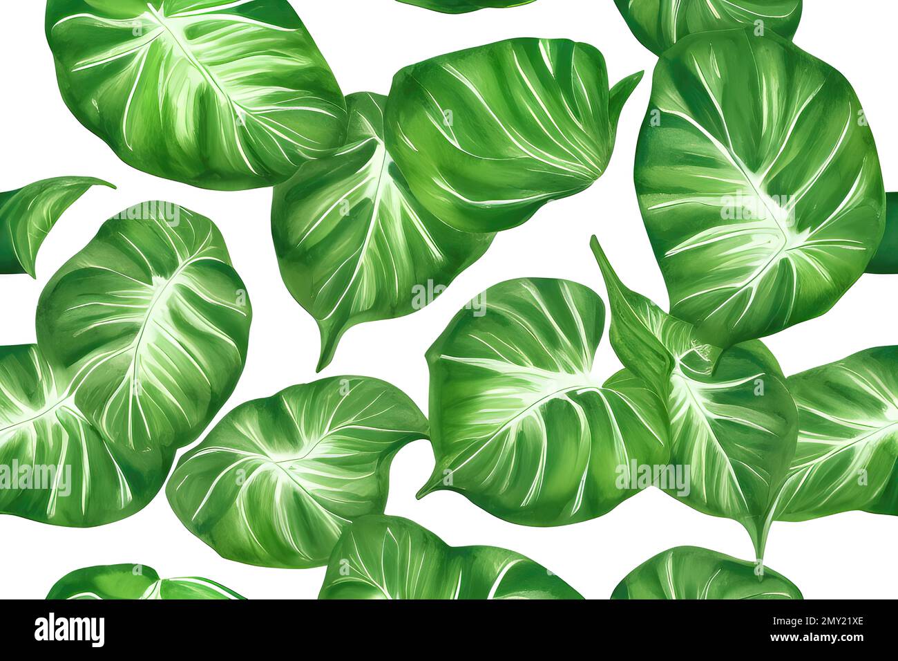 pattern of Caladium multicolored leaves Stock Photo - Alamy