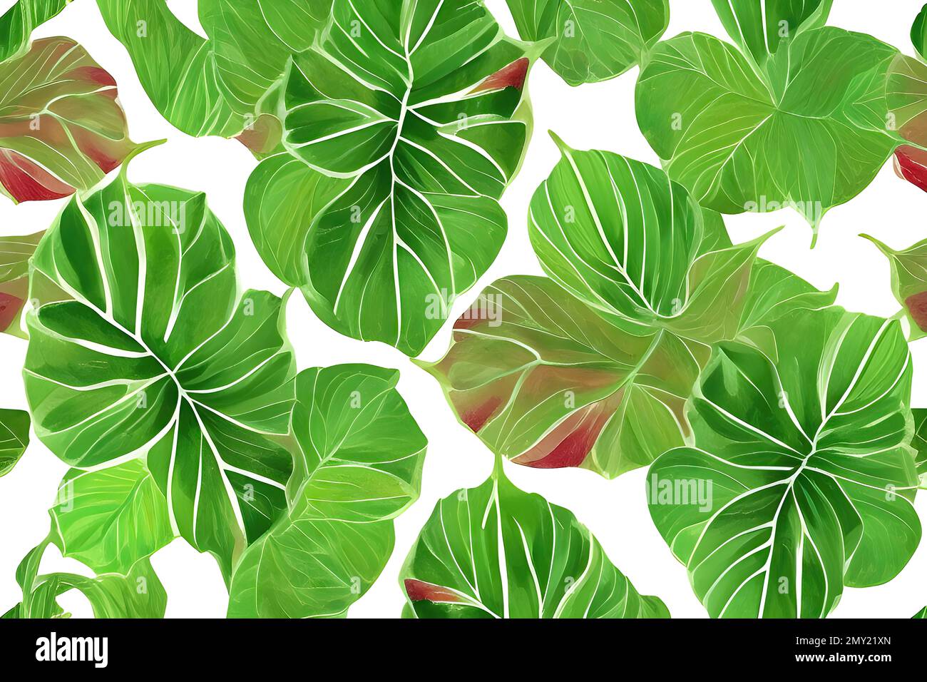 pattern of Caladium multicolored leaves Stock Photo - Alamy