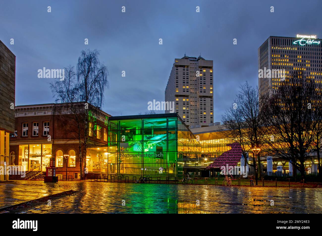 Rotterdam, The Netherlands, January 9, 2023: the Museum of Natural ...