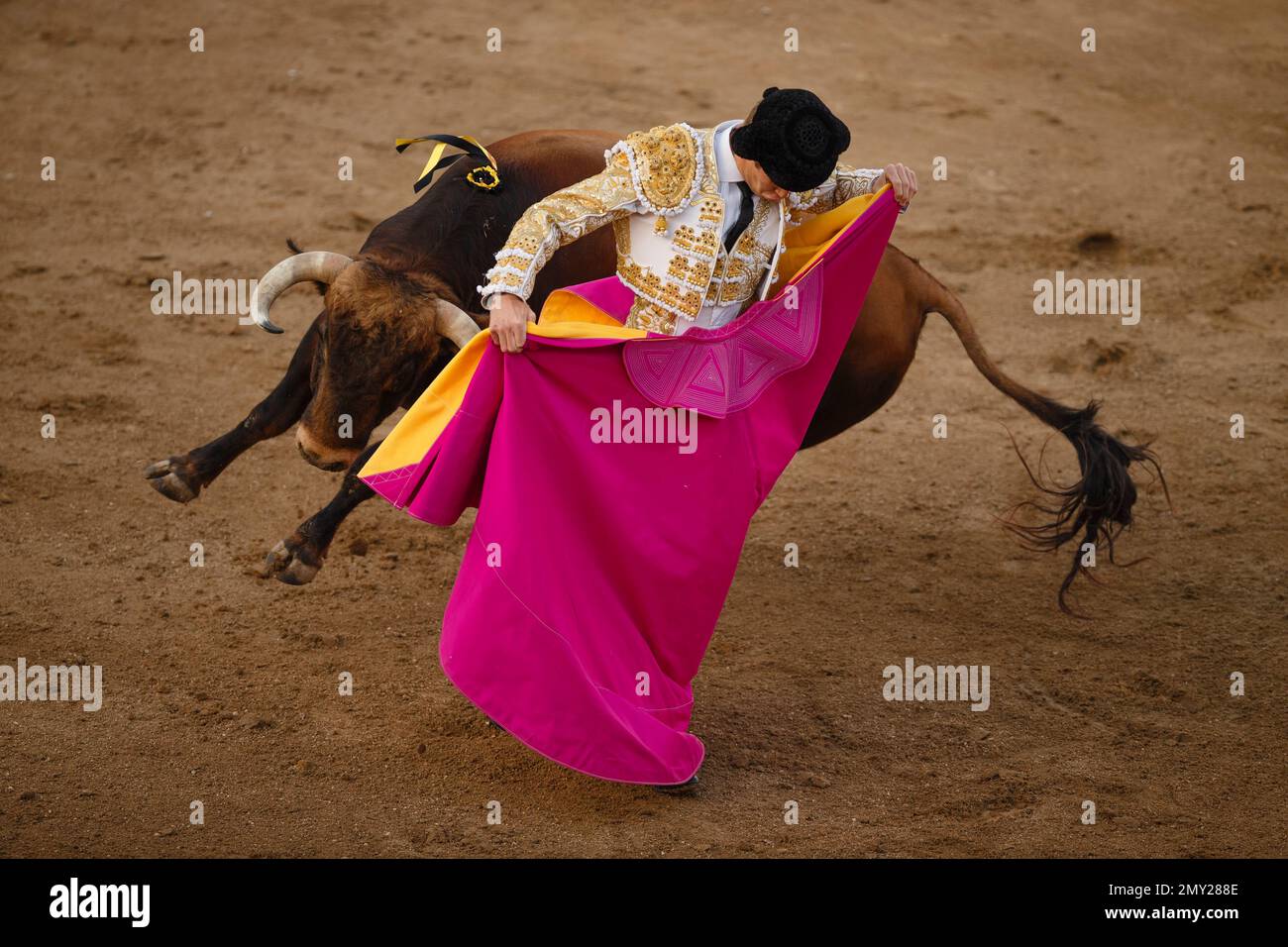 Spanish bullfighter Javier Jimenez performs with a bull during a ...