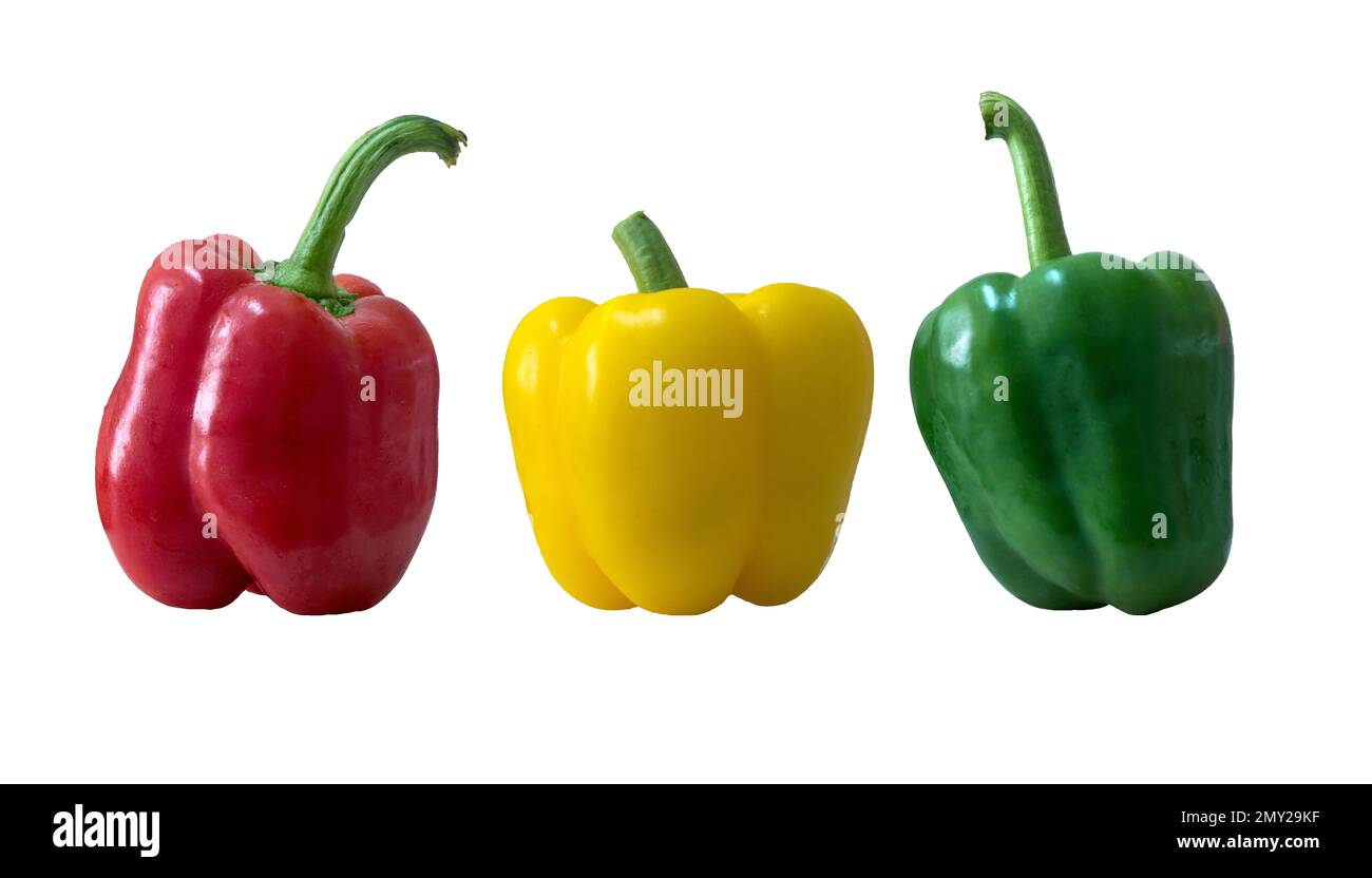 Three different colored of sweet bell peppers isolated on white ...