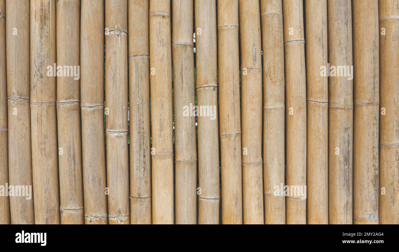 bamboo plank fence texture for background Stock Photo - Alamy