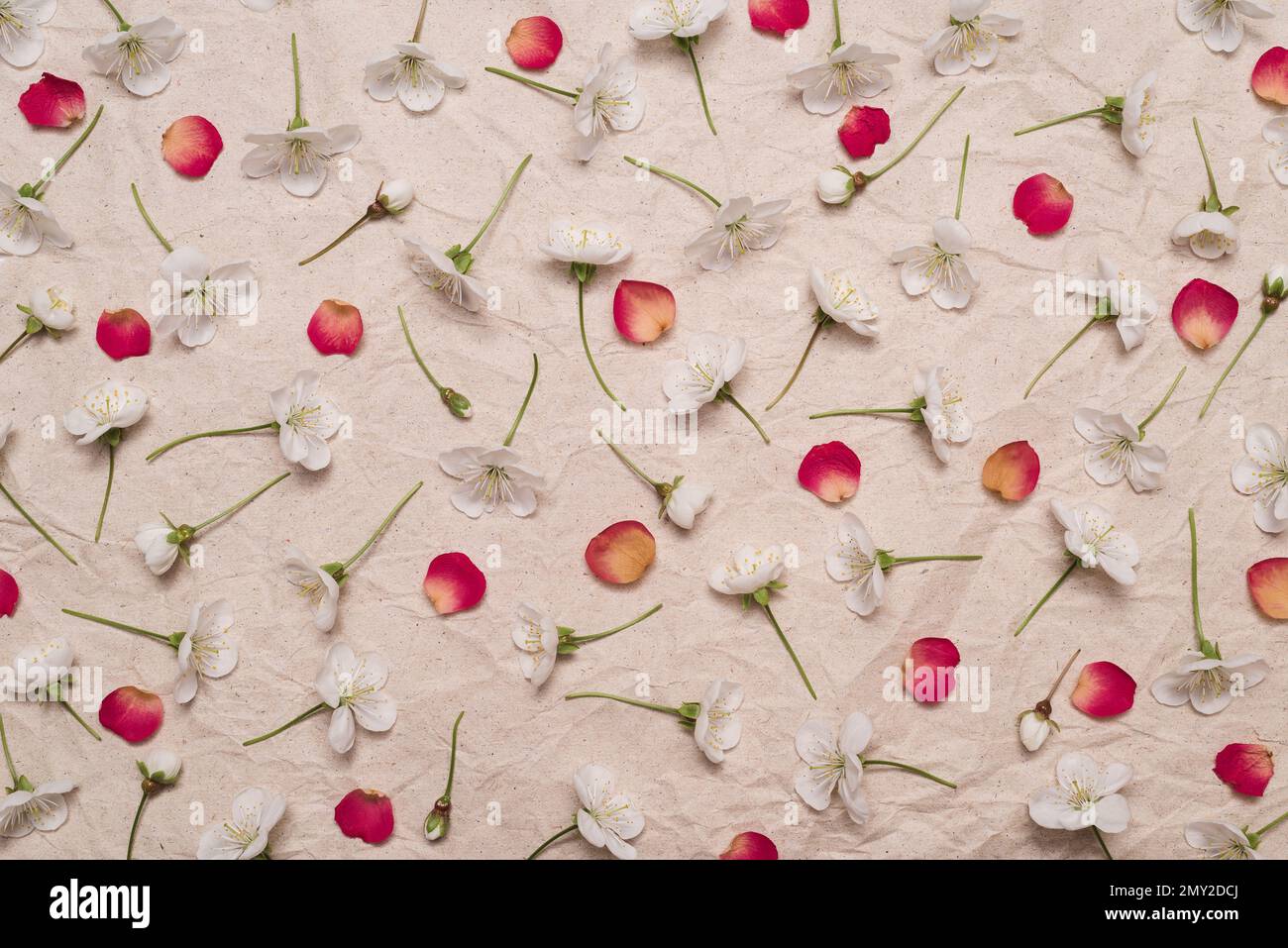 Pattern of cherry blossom flowers and red rose petals on the background ...