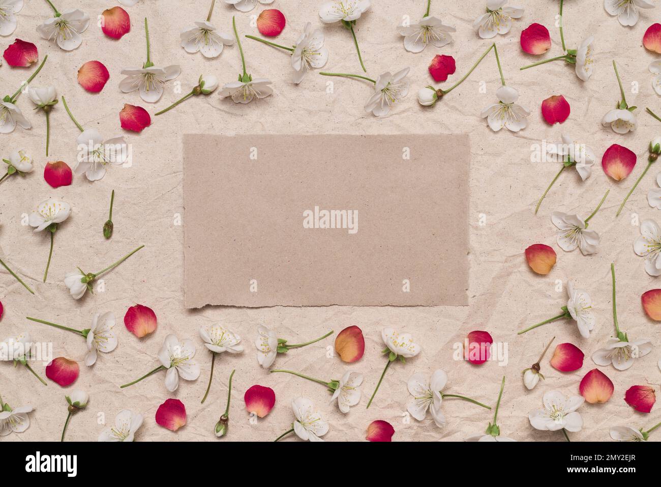 Decorative frame of cherry blossom flowers and red rose petals on old ...