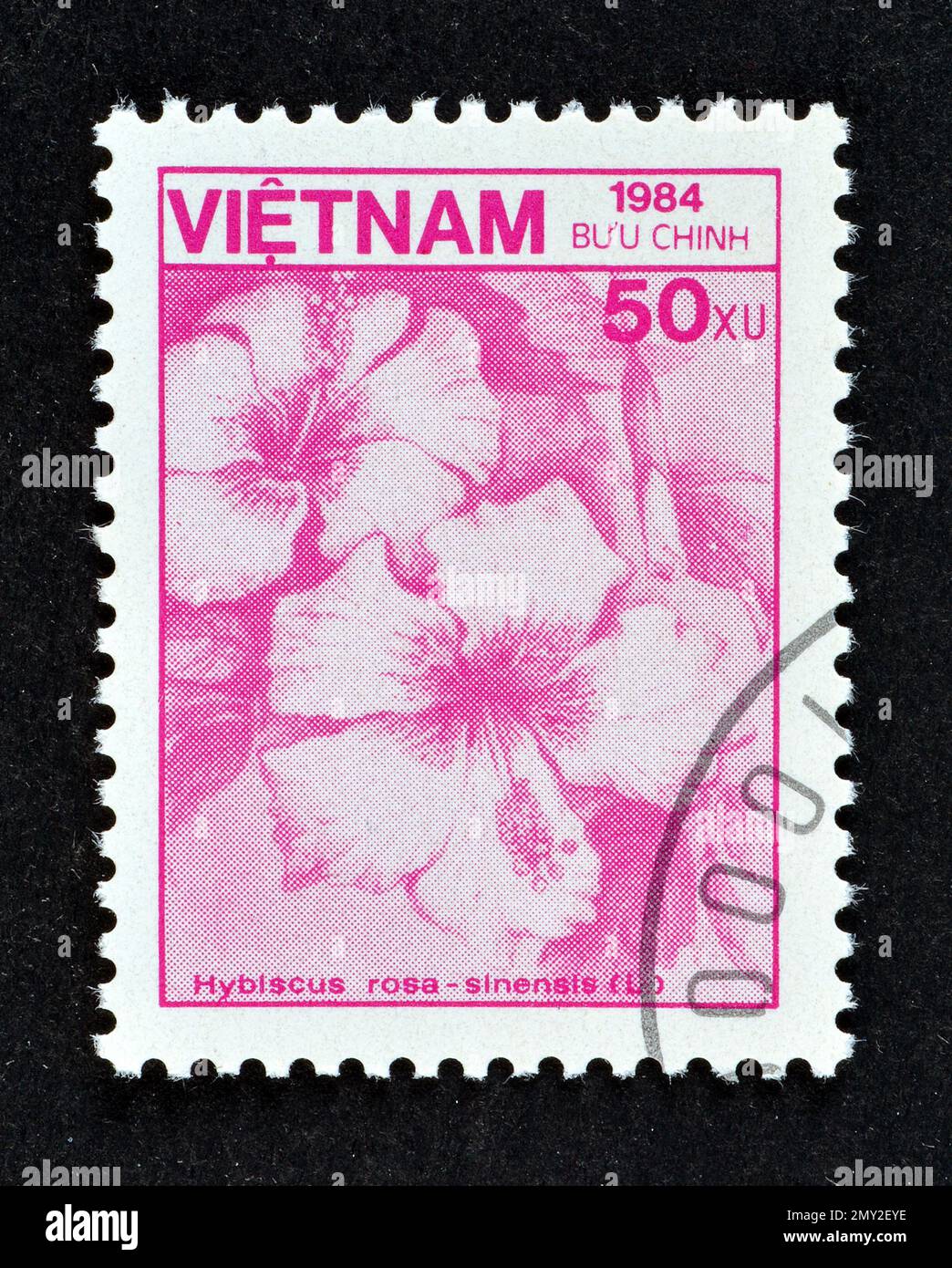 Cancelled postage stamp printed by Vietnam, that shows Chinese hibiscus ...