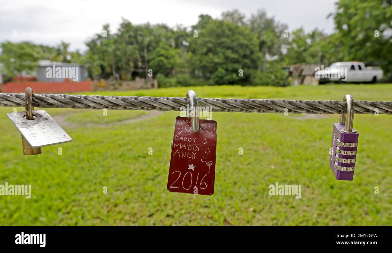 In this photo taken, Aug., 11, 2016, locks left by people on a fence at ...