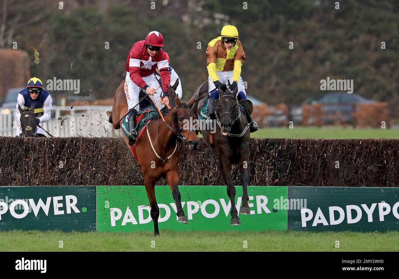 Fury road horse hi-res stock photography and images - Alamy
