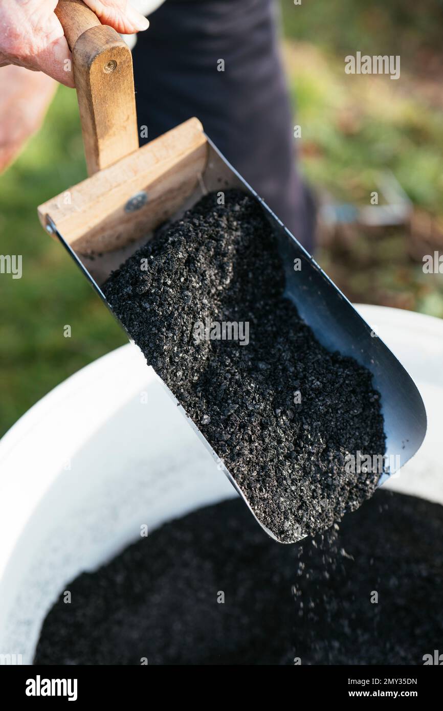 Gardener with a scoop of biochar pellet made from herbs using pyrolysis ...