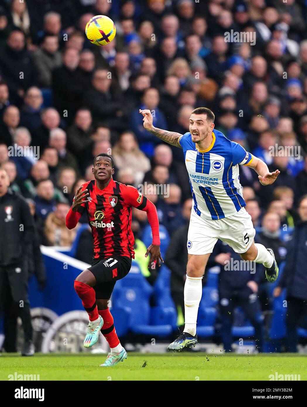 Lewis dunk 2023 hi-res stock photography and images - Alamy
