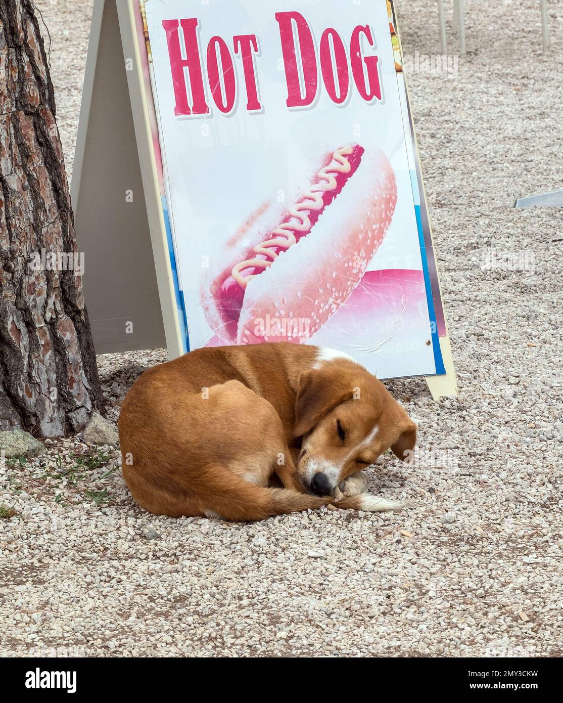 Hot dog werbung hi-res stock photography and images - Alamy