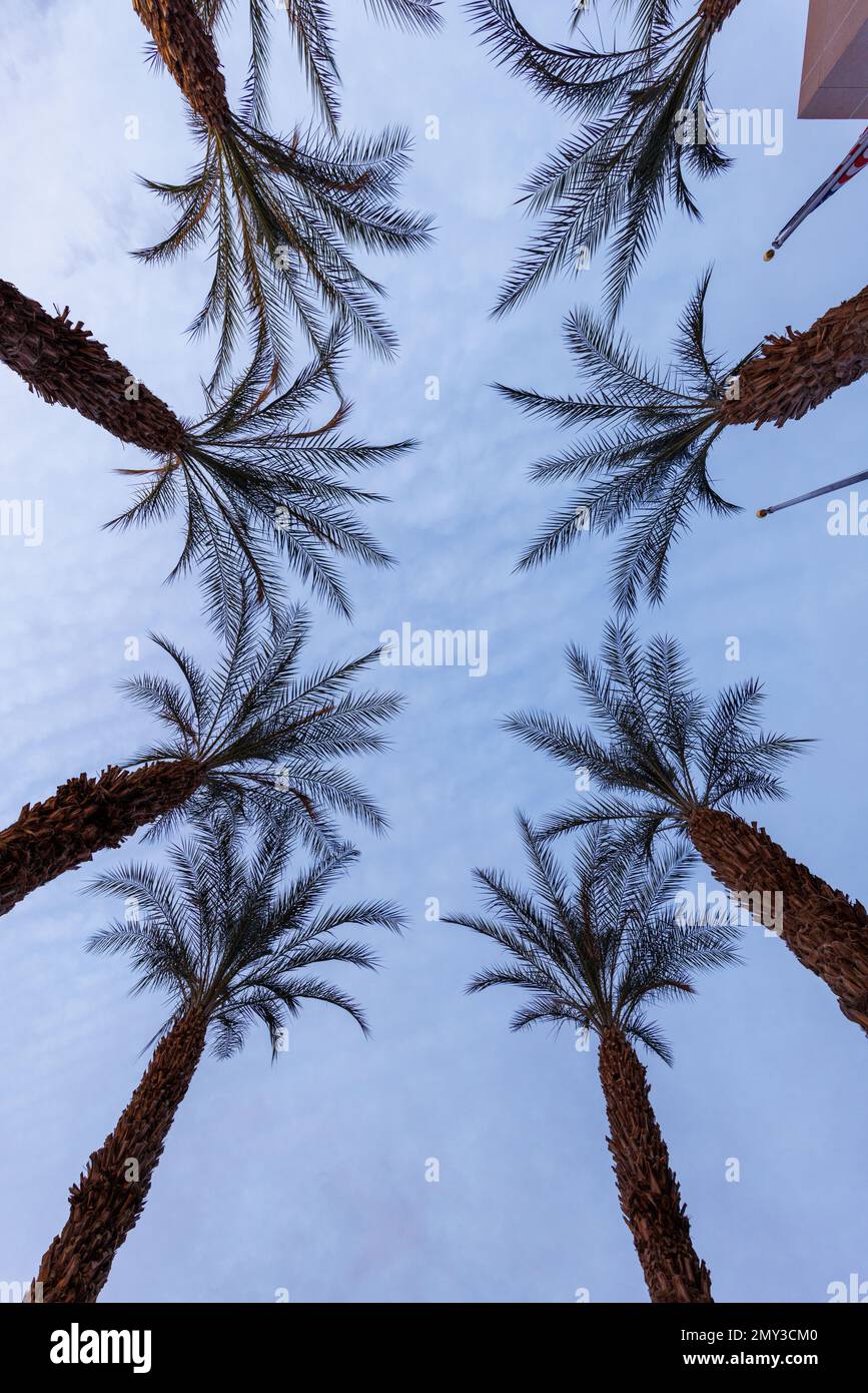 Coastal marvel hi-res stock photography and images - Alamy