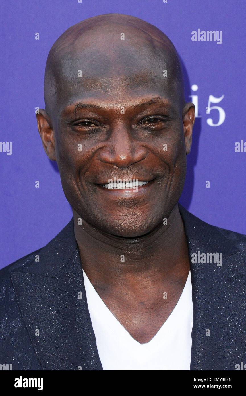 Peter Mensah attends the onePULSE Foundation Benefit for Orlando at ...