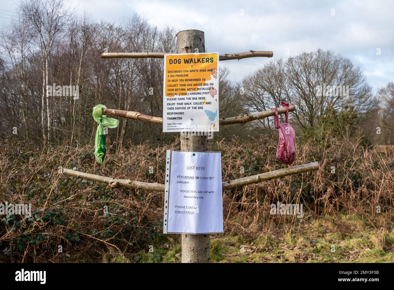 Hanging post for dog walkers to hang up dog poo bags while they go for ...