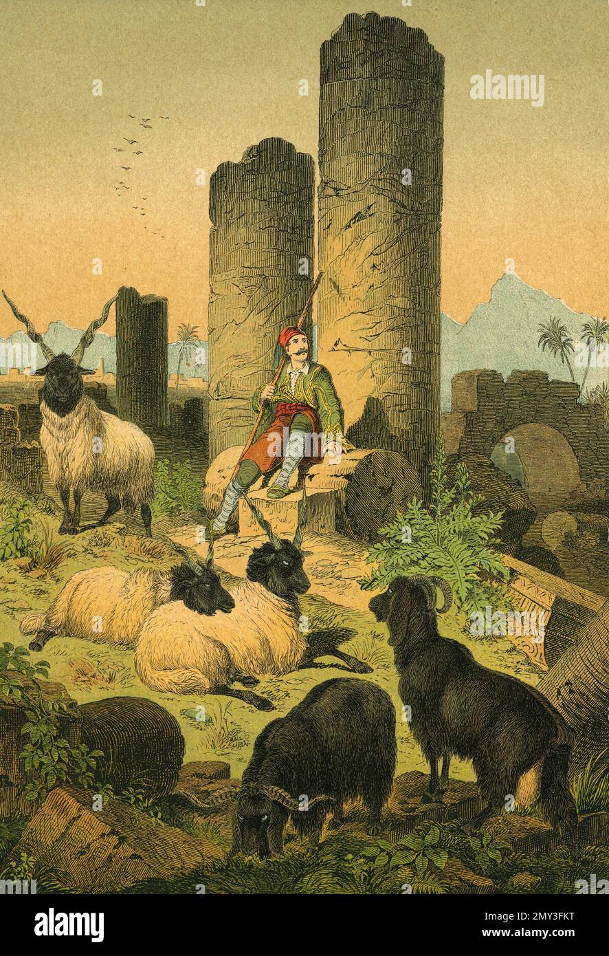 Are Greek Shepherd Noisy