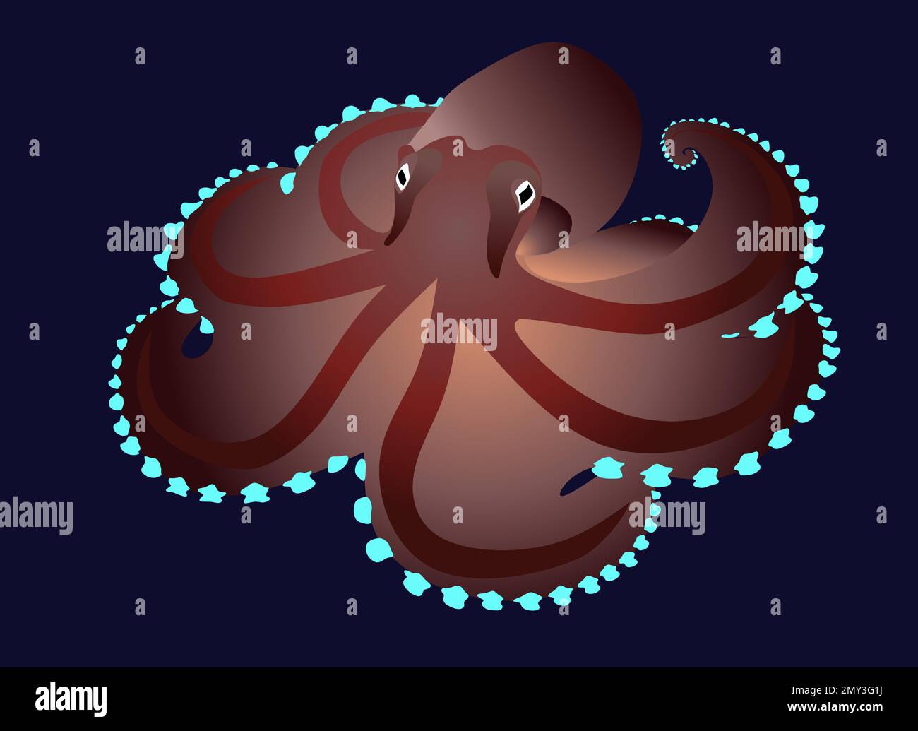 Octopus colorful doodle with abstract pattern. Vector illustration ...
