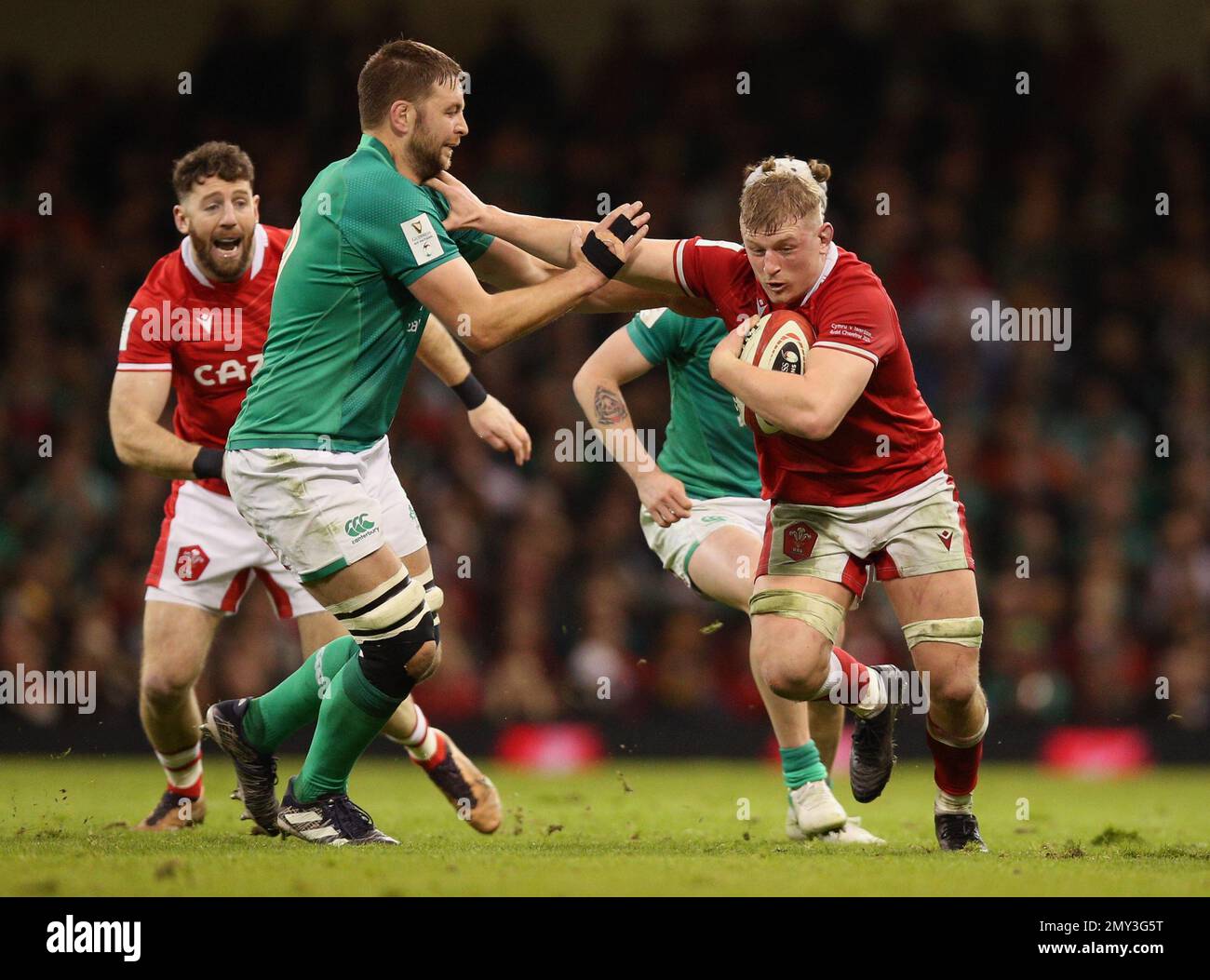Jac morgan wales rugby union hi-res stock photography and images - Alamy