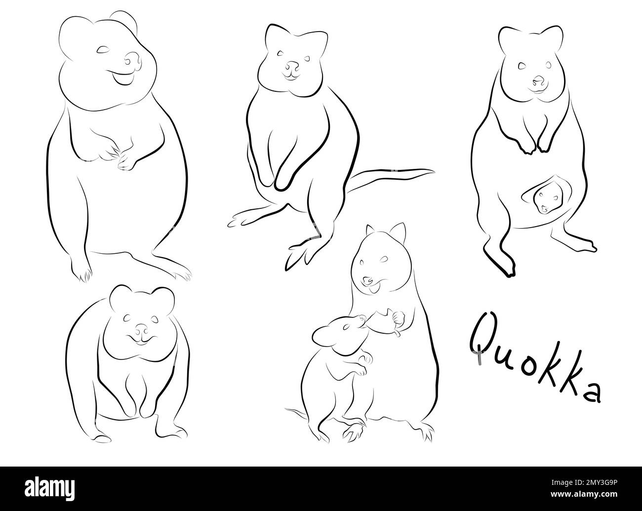 vector, meerkat, outline, desert, wild, black, contour, animal ...