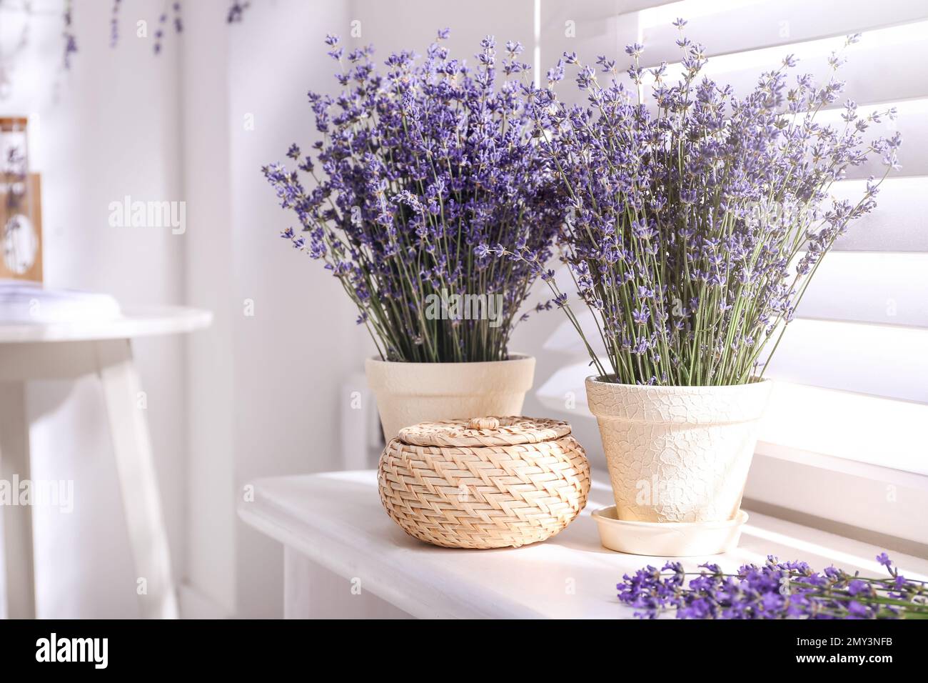Beautiful lavender flowers on window sill indoors Stock Photo - Alamy