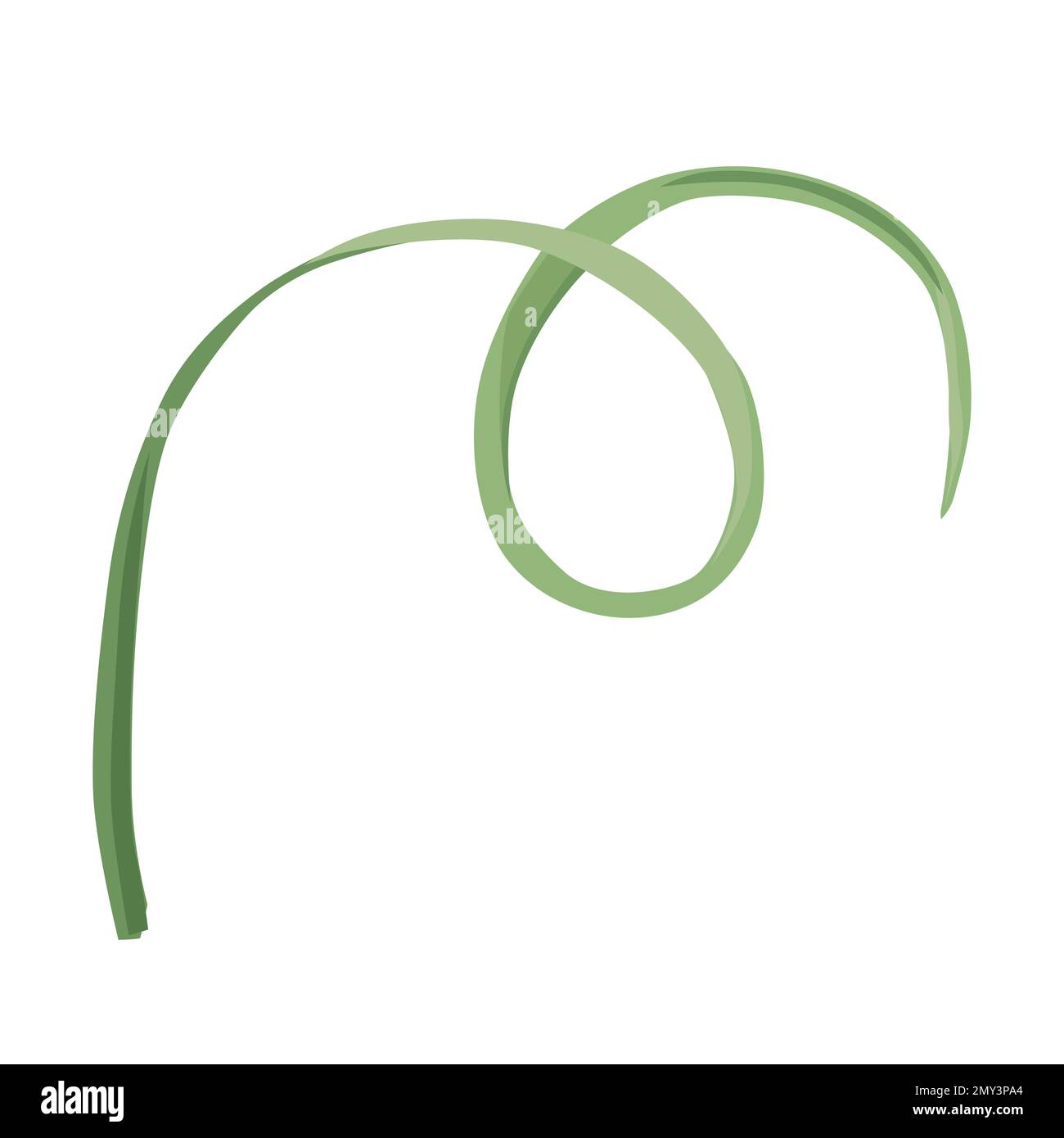 Beautiful green stem illustration on white background. Stylish design ...