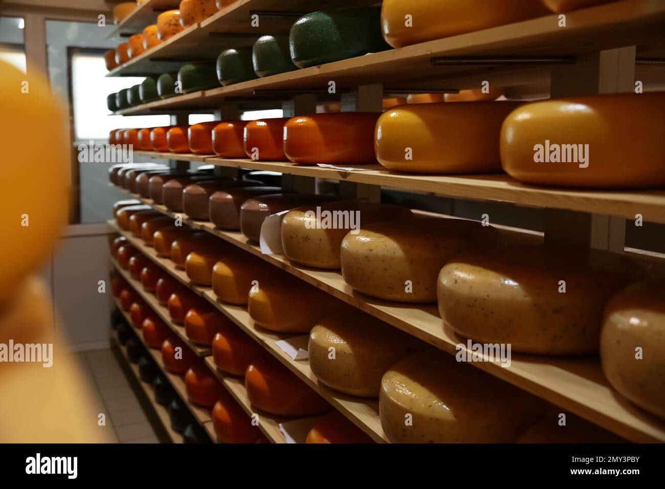 Fresh cheese heads on rack in factory warehouse Stock Photo - Alamy