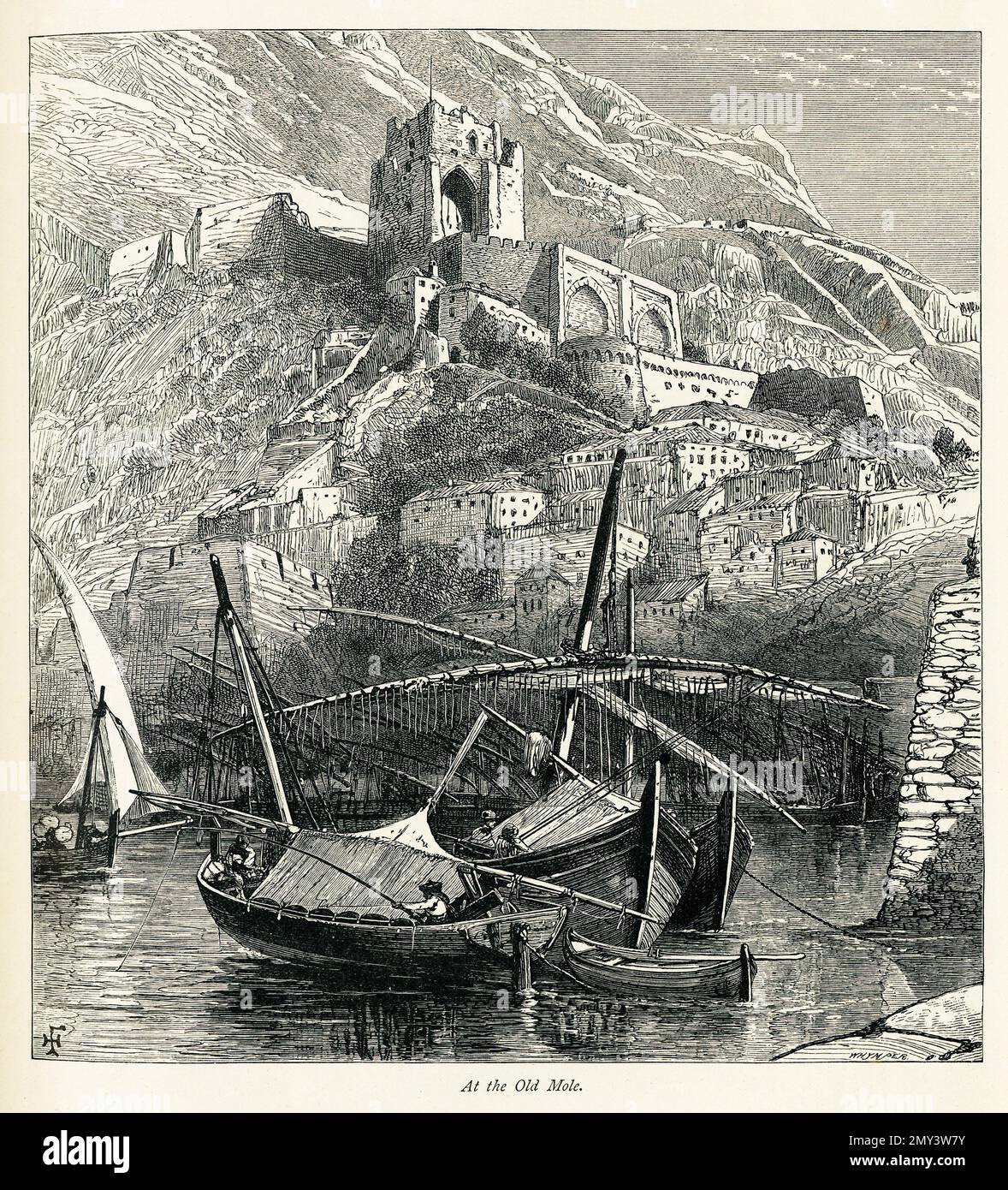 Antique illustration of the Old Mole, also known as Devil's Tongue, a ...