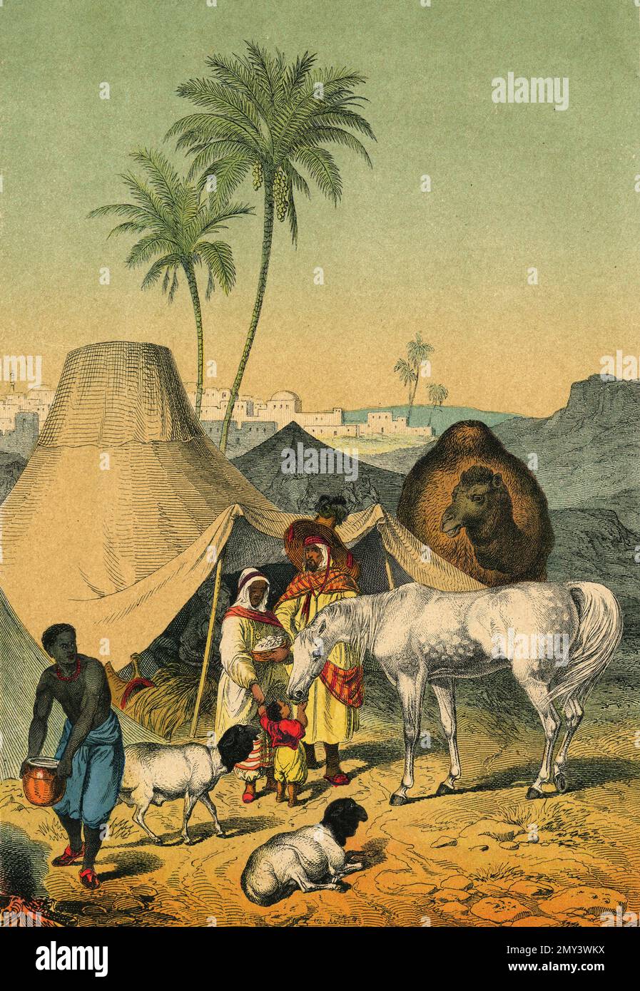 Sketches of North Africa, Oasis in Arabia: African aborigines, Bedouin ...