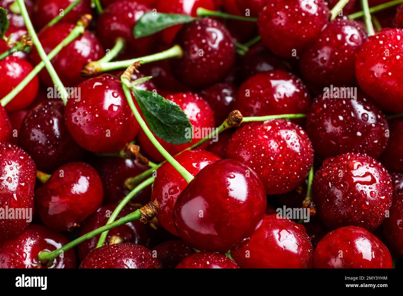 Sweet red cherries with water drops as background, closeup Stock Photo ...