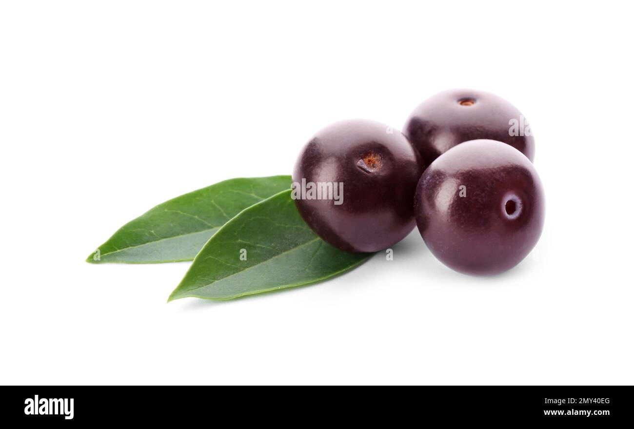 Fresh acai berries with leaves isolated on white Stock Photo - Alamy
