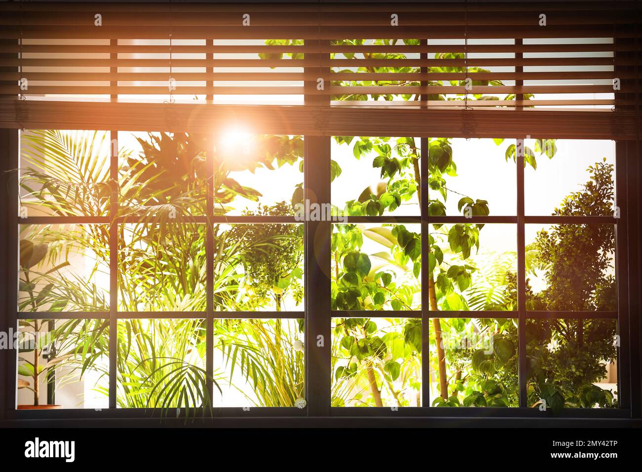 Sun shining through window with blinds in morning Stock Photo - Alamy
