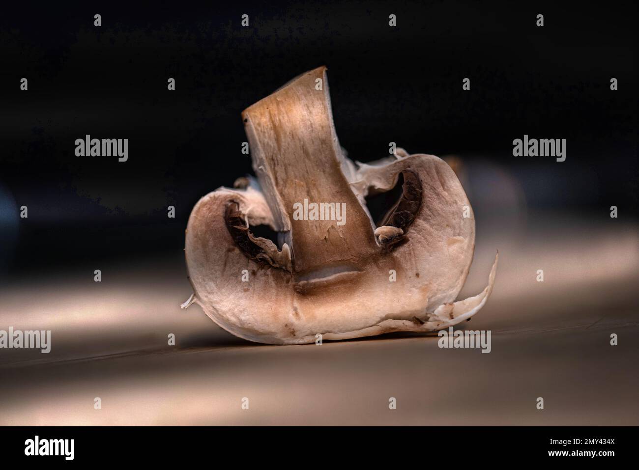 Photographs taken for wall art lovers a table top exercise in the ...