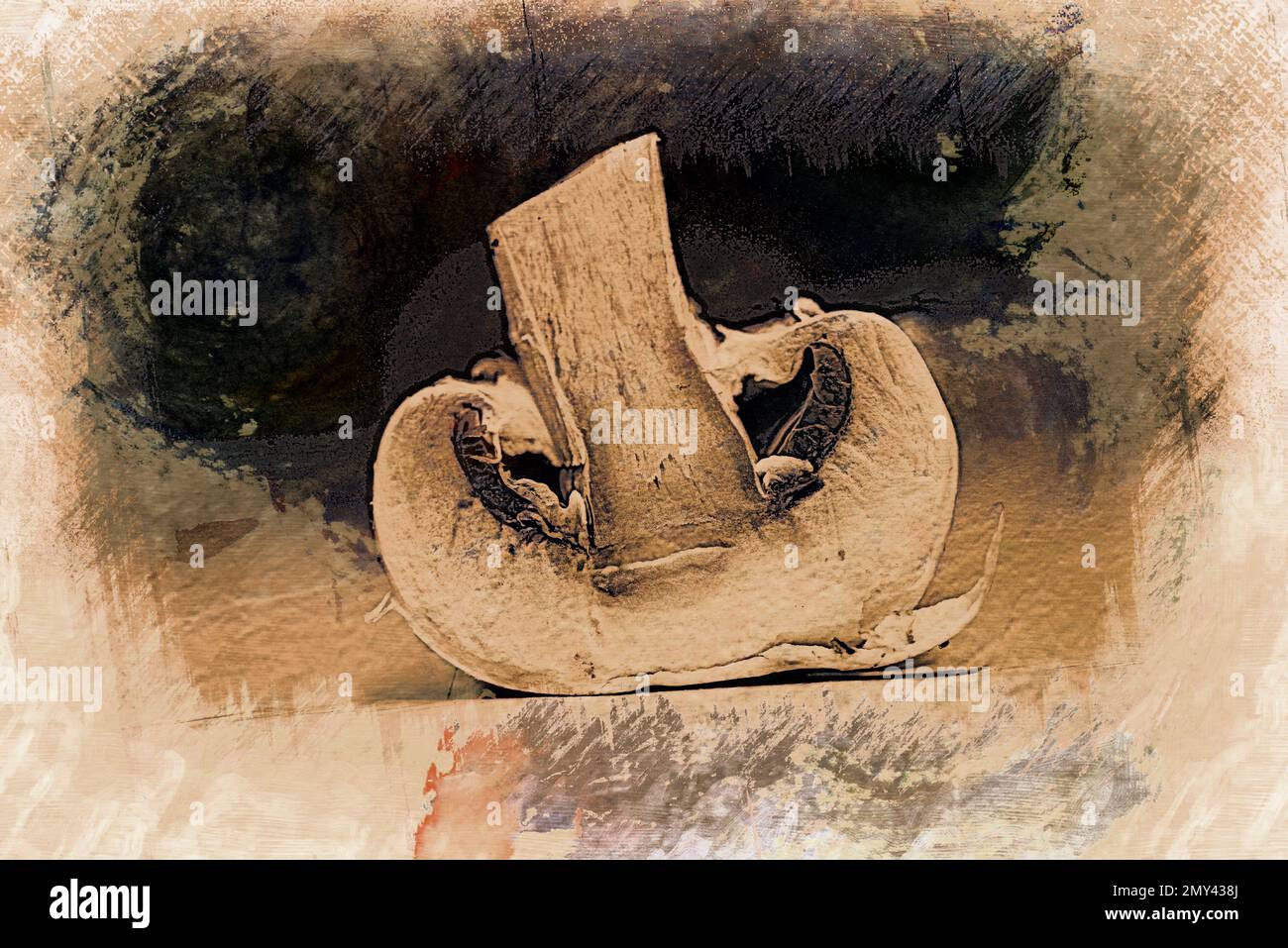 Photographs taken for wall art lovers a table top exercise in the ...