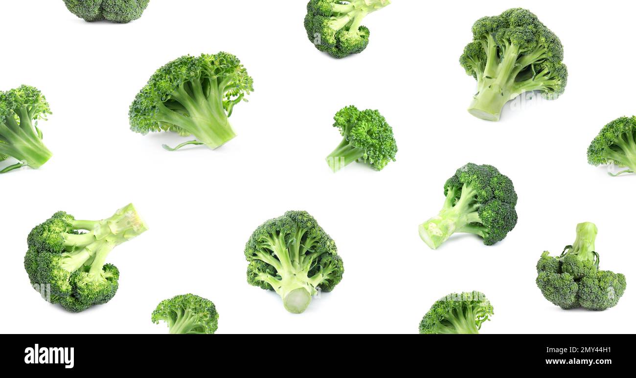 Pattern of fresh green broccoli on white background, banner design ...